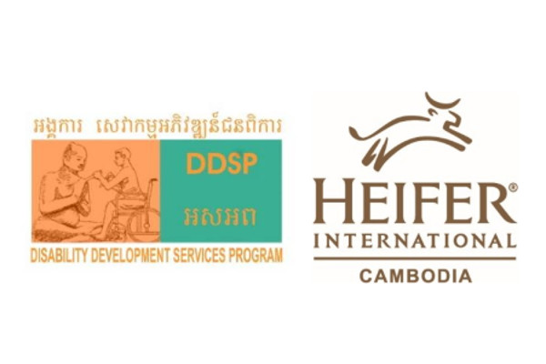 Disability Development Services Program