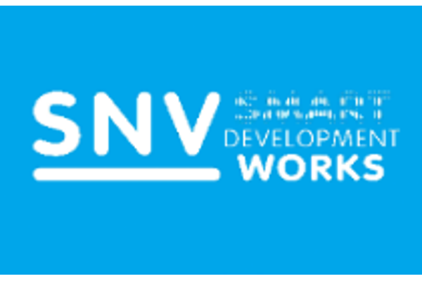 Request For CHAIN Project Audit Proposal with SNV Netherlands ...