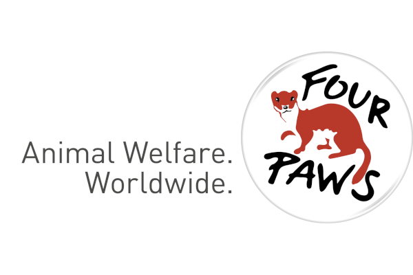 FOUR PAWS International