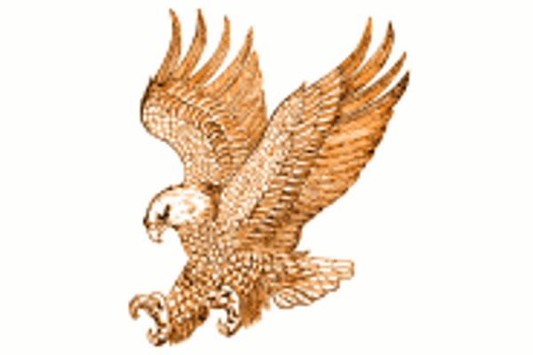 Project Field Assistant with Wildlife Alliance